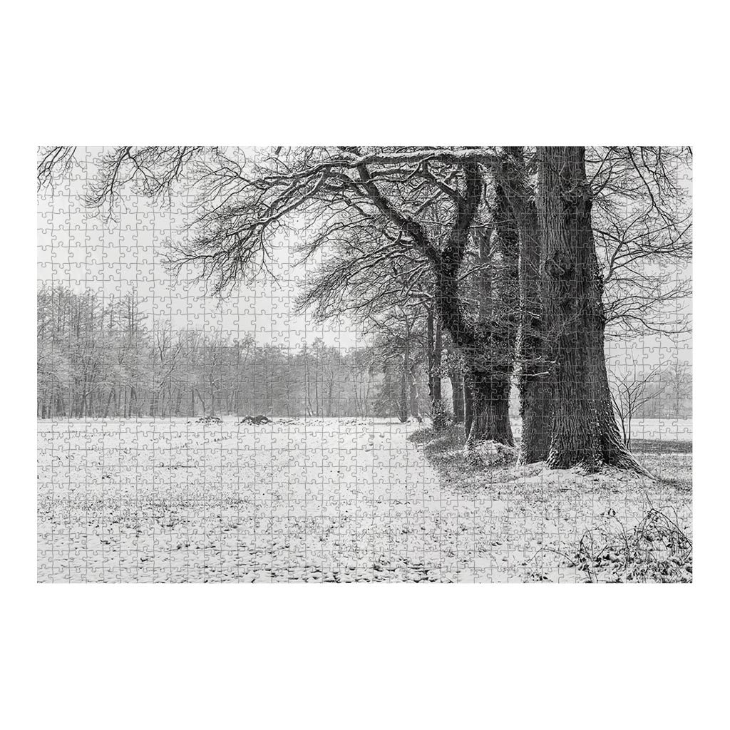 Wikimedia Commons Jigsaw Puzzle of the Day Row Of Trees – Puzzle Rabbit