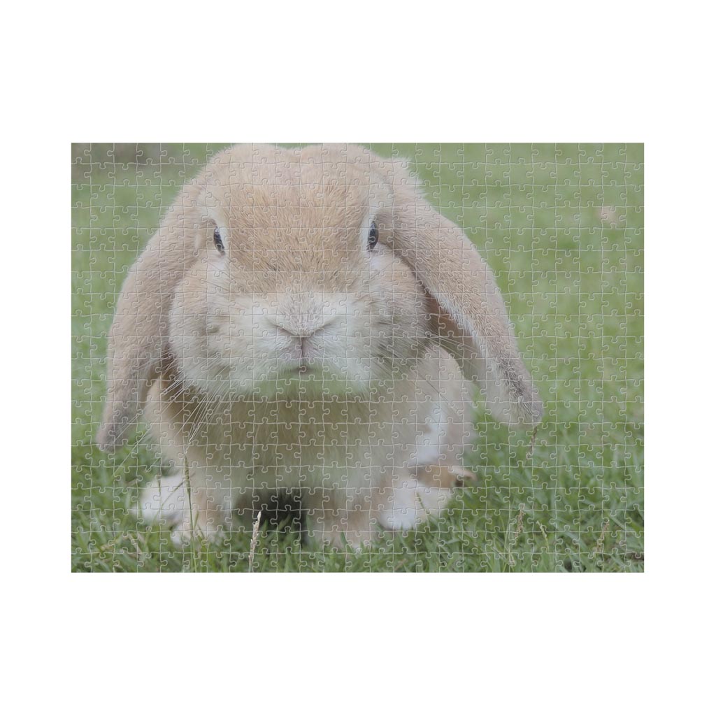 Puzzle Rabbit Cute Rabbit Jigsaw Puzzle